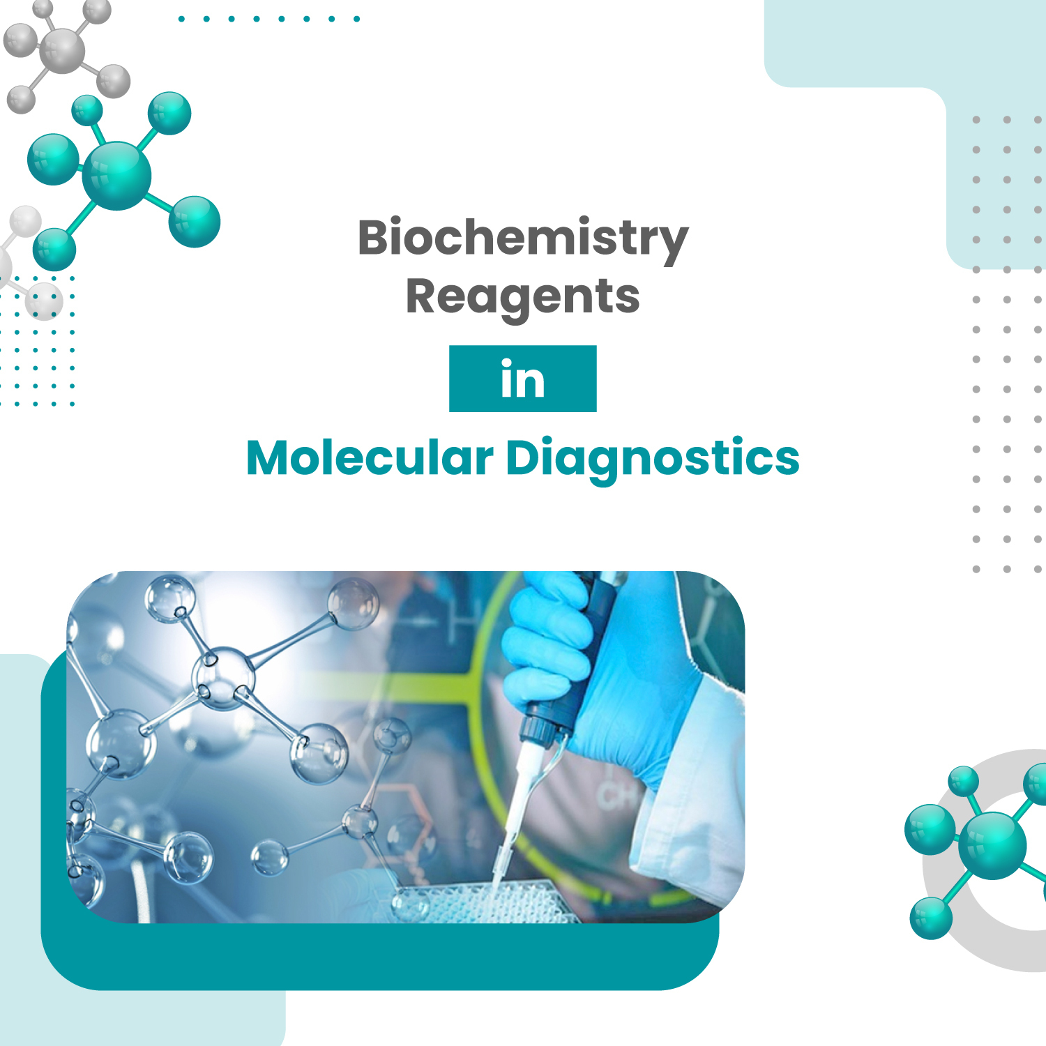 Biochemistry Reagents in Molecular Diagnostics - Vanguard Diagnostics